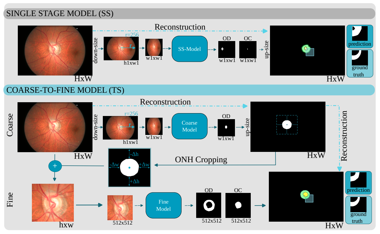 Assessing Coarse To Fine Deep Learning Models For Optic Disc And Cup Segmentation In Fundus